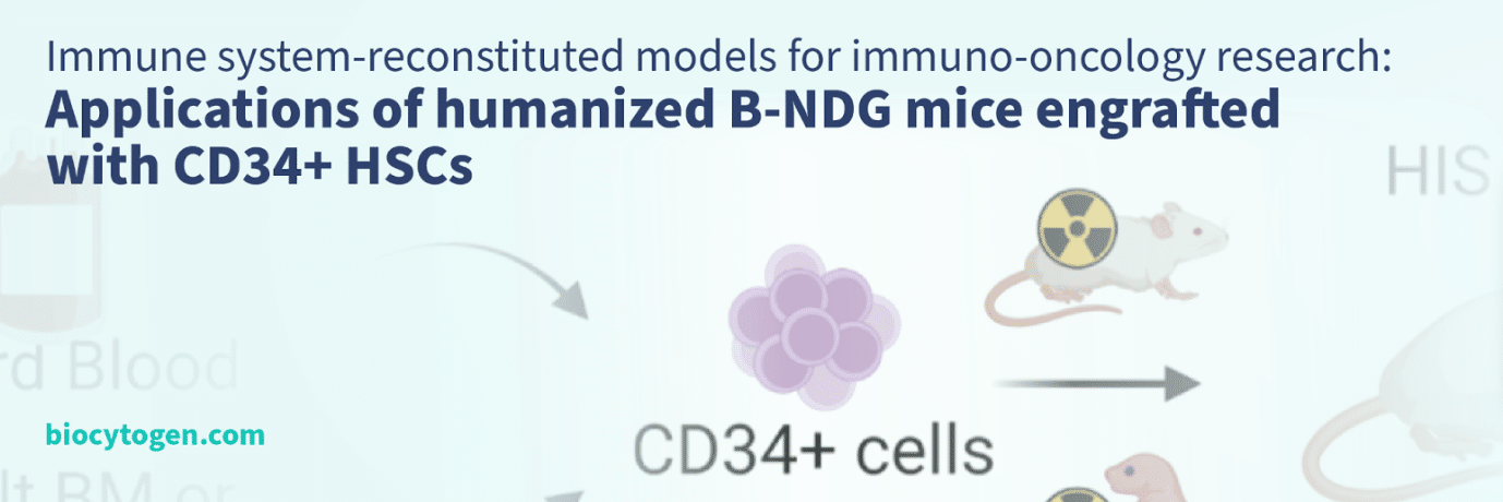 Immune system-reconstituted models for immuno-oncology research: Applications of CD34+ humanized ...