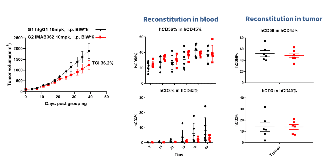 Immune system-reconstituted models for immuno-oncology research: Applications of CD34+ humanized ...