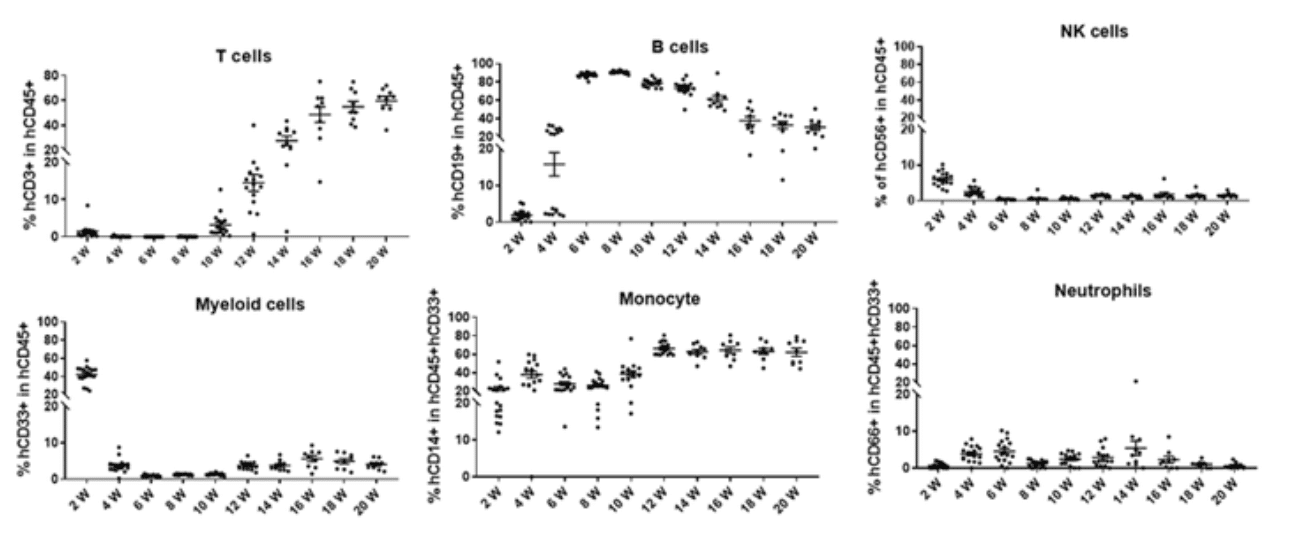 Immune system-reconstituted models for immuno-oncology research: Applications of CD34+ humanized ...