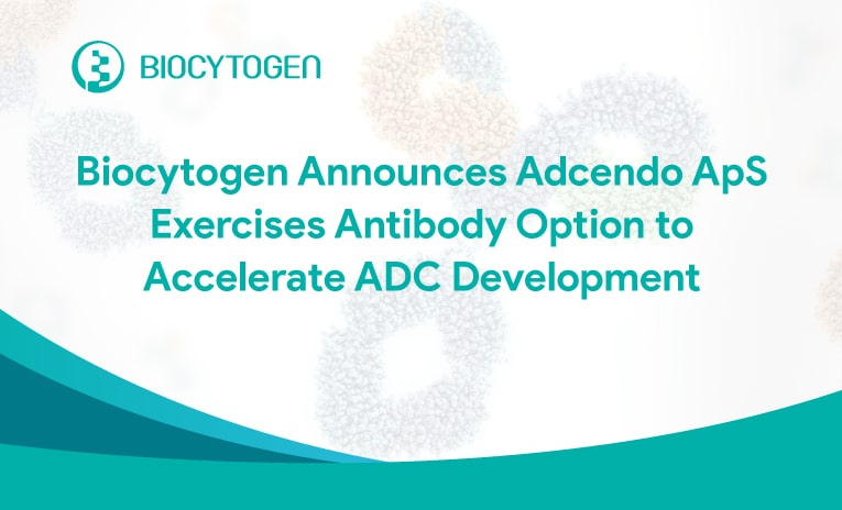 Biocytogen Announces Adcendo ApS Exercises Antibody Option to Accelerate ADC Development