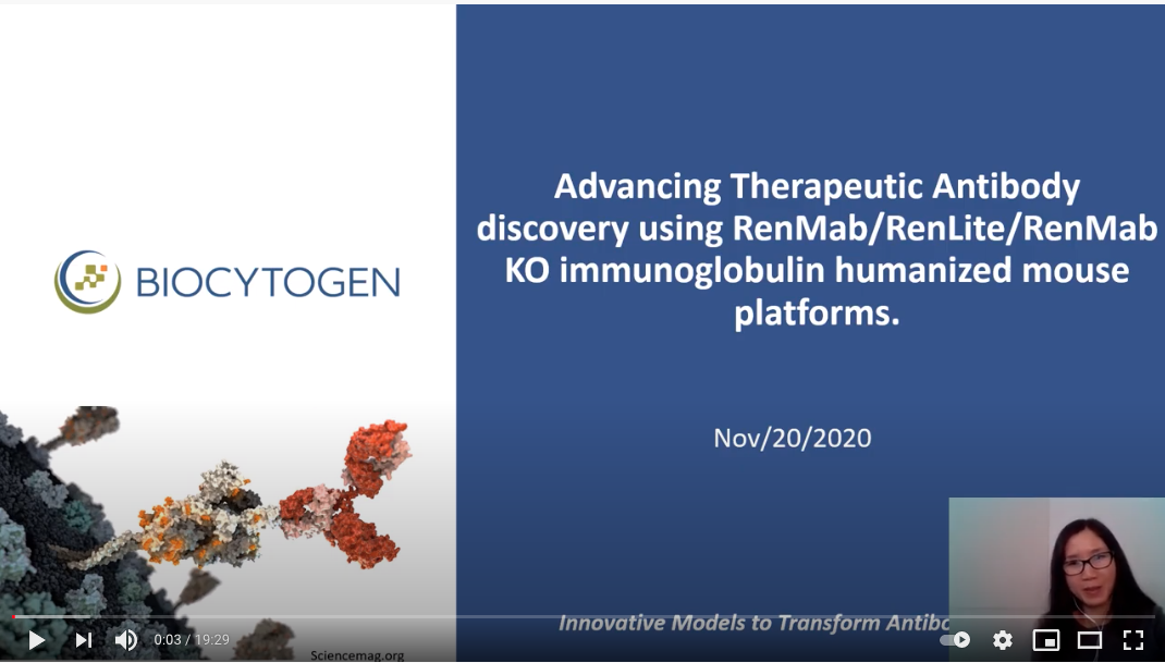 AET Europe 2020: Advancing Therapeutic Antibody discovery using RenMab ...