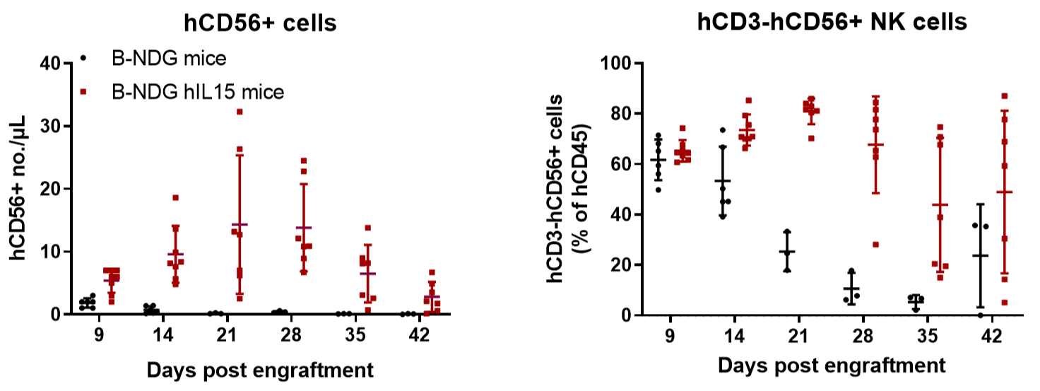 B-NDG hIL15 Mice: Where Enhanced Human Immune Reconstitution Fuels NK ...