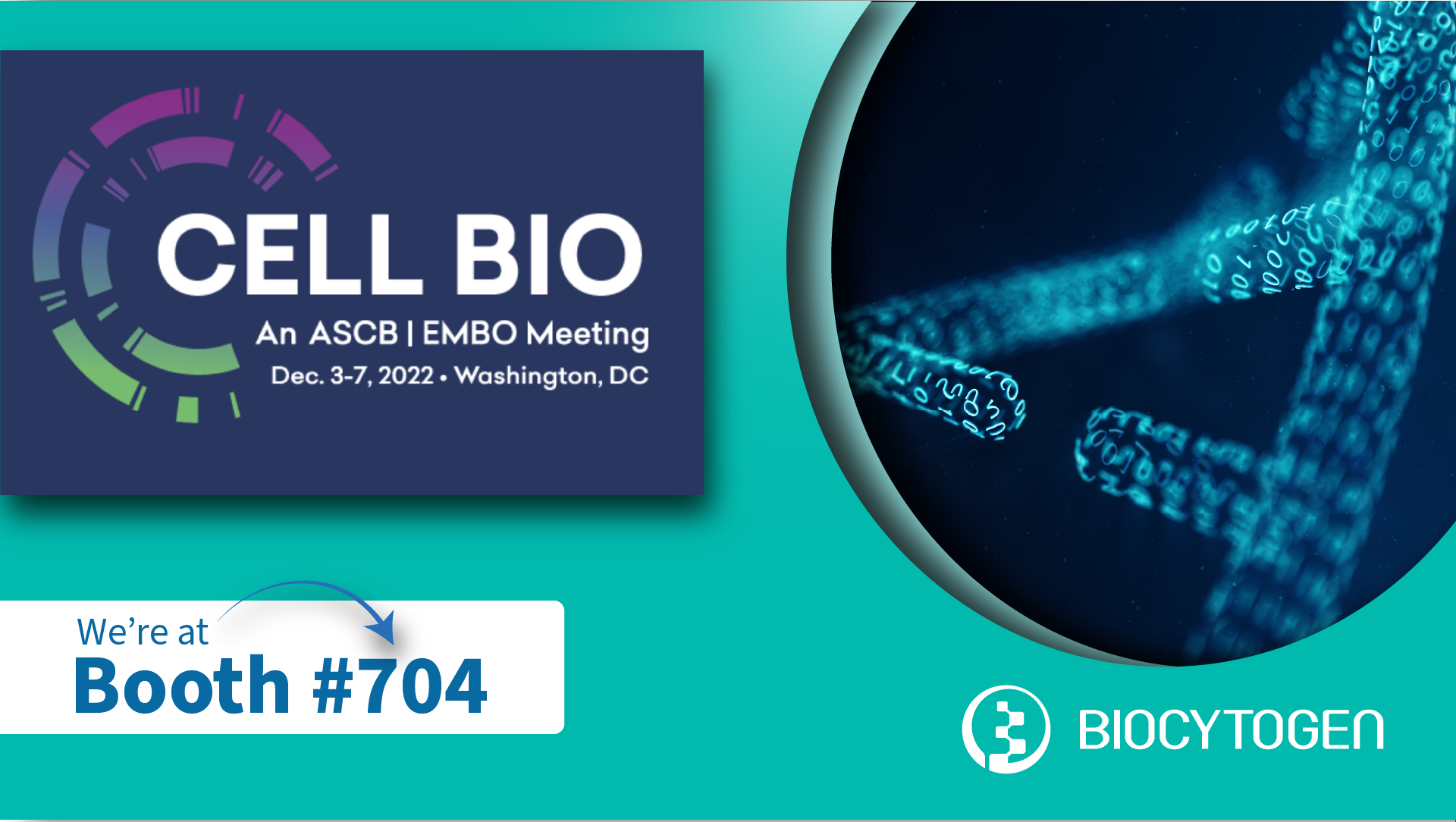 American Society for Cell Biology 2022