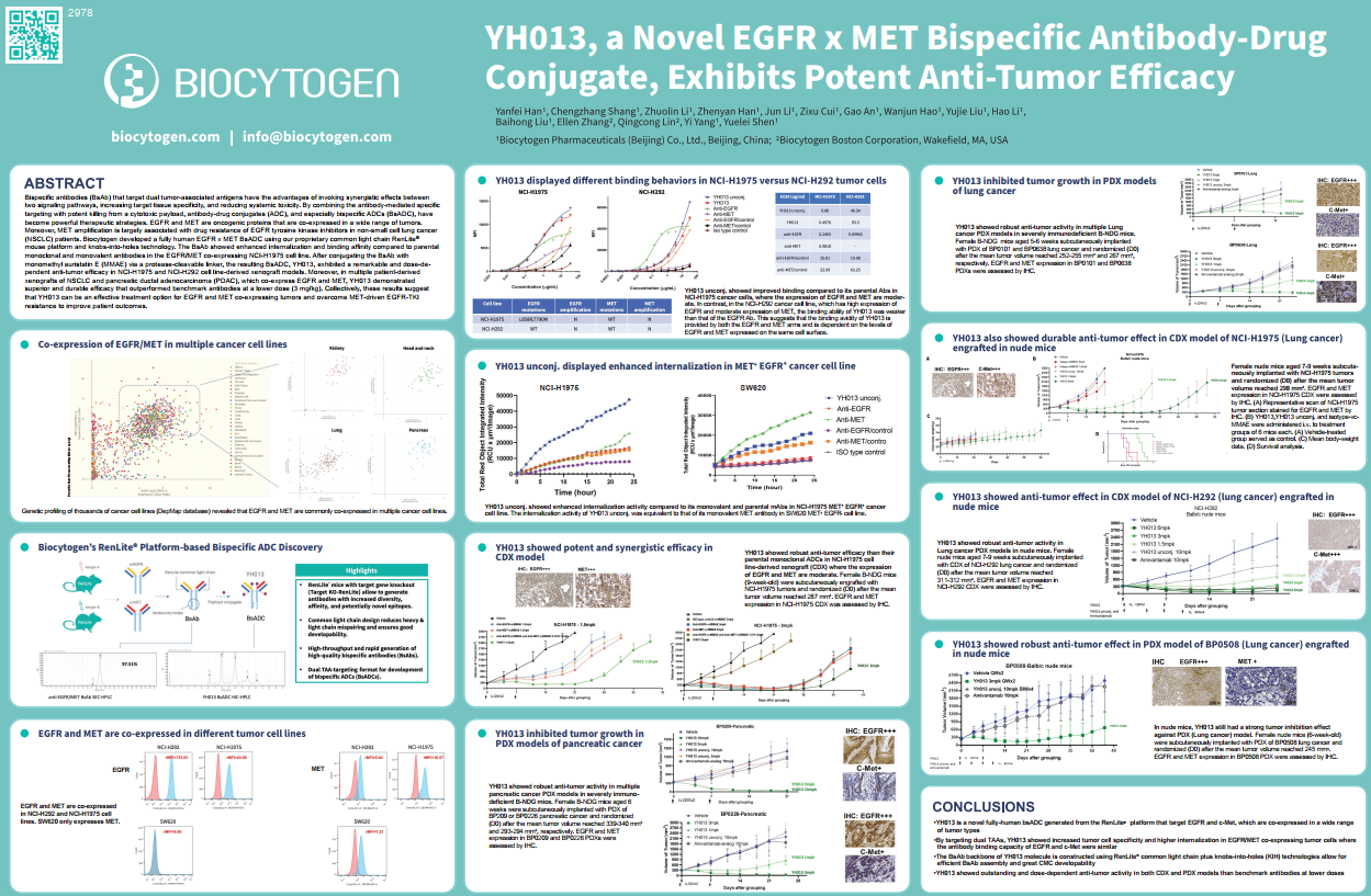 AACR 2023: YH013, a Novel Bispecific EGFR x MET Antibody-Drug Conjugate, Exhibits Potent Anti ...