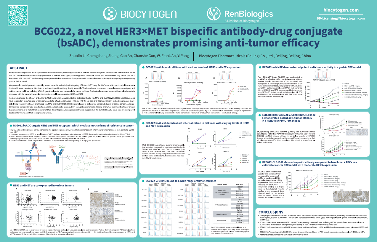 AACR 2024: BCG022, a novel HER3×MET bispecific antibody-drug conjugate ...