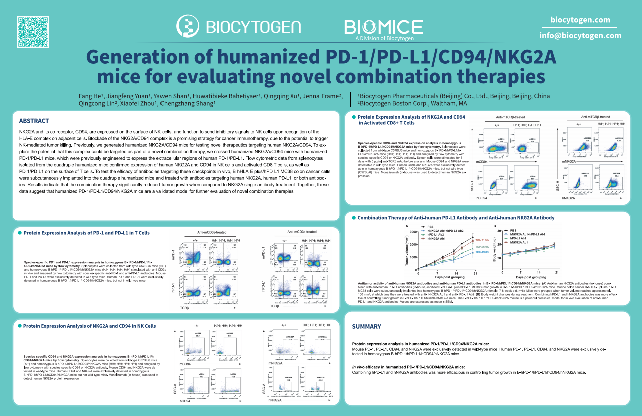 AACR 2024: Generation of humanized PD-1/PD-L1/CD94/NKG2A mice for ... AACR 2024: Generation of humanized PD-1/PD-L1/CD94/NKG2A mice for ...