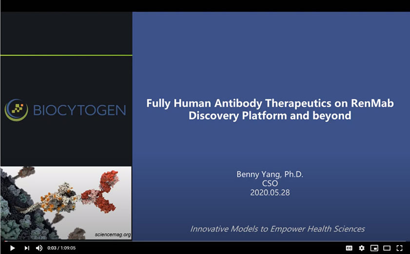 Antibody Discovery Platforms and RenMab Mouse