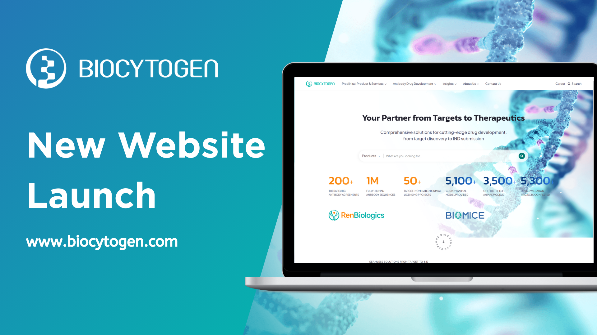 Discover the New Biocytogen Website: Built for Innovators Like You