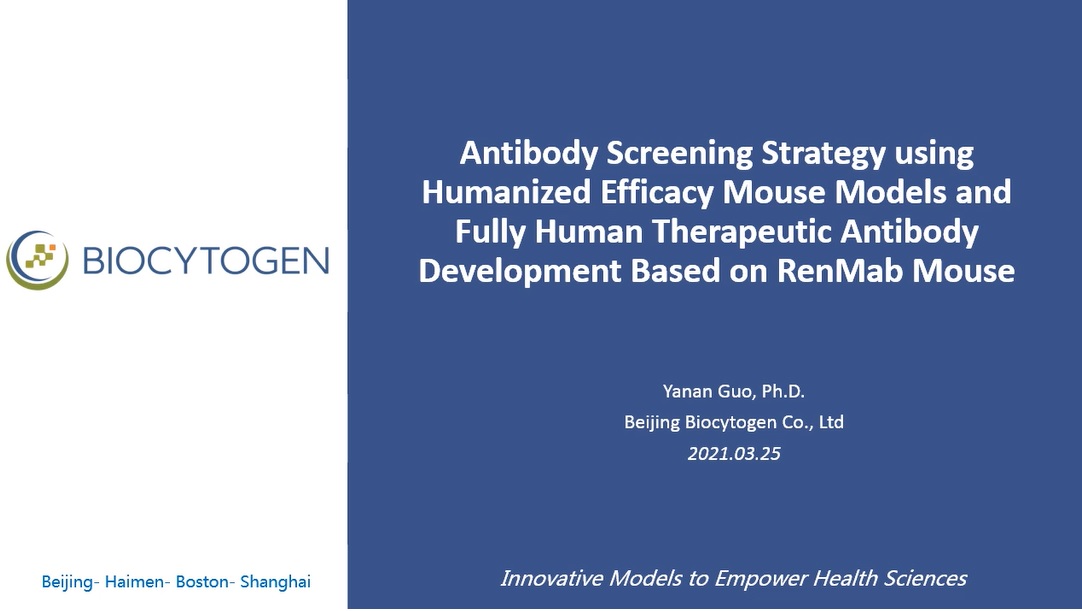Antibody Screening Strategy using Humanized Efficacy Mouse Models and ...